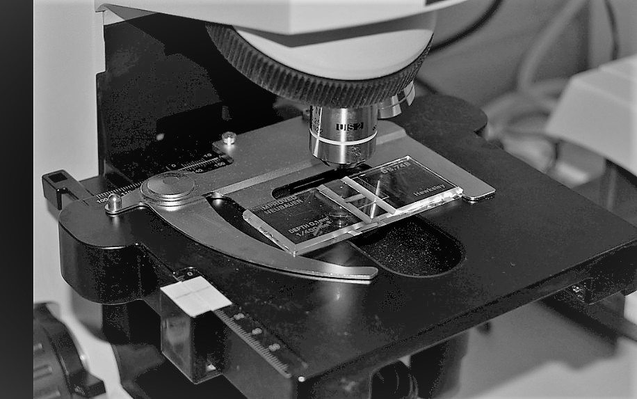 Augmenting Pathology Labs With Big Data And Machine Learning Augmenting Pathology Labs With Big Data And Machine Learning