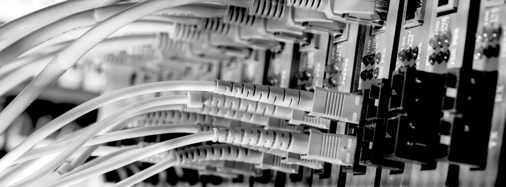 When Diverse Network ASICs Meet A Unifying Operating System