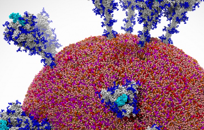 Gordon Bell Prize Winners Leverage Machine Learning For Molecular Dynamics