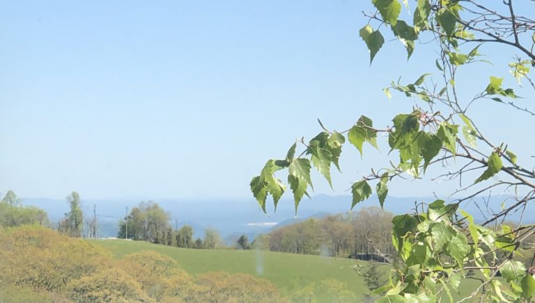 Google Stands Up Exascale TPUv4 Pods On The Cloud